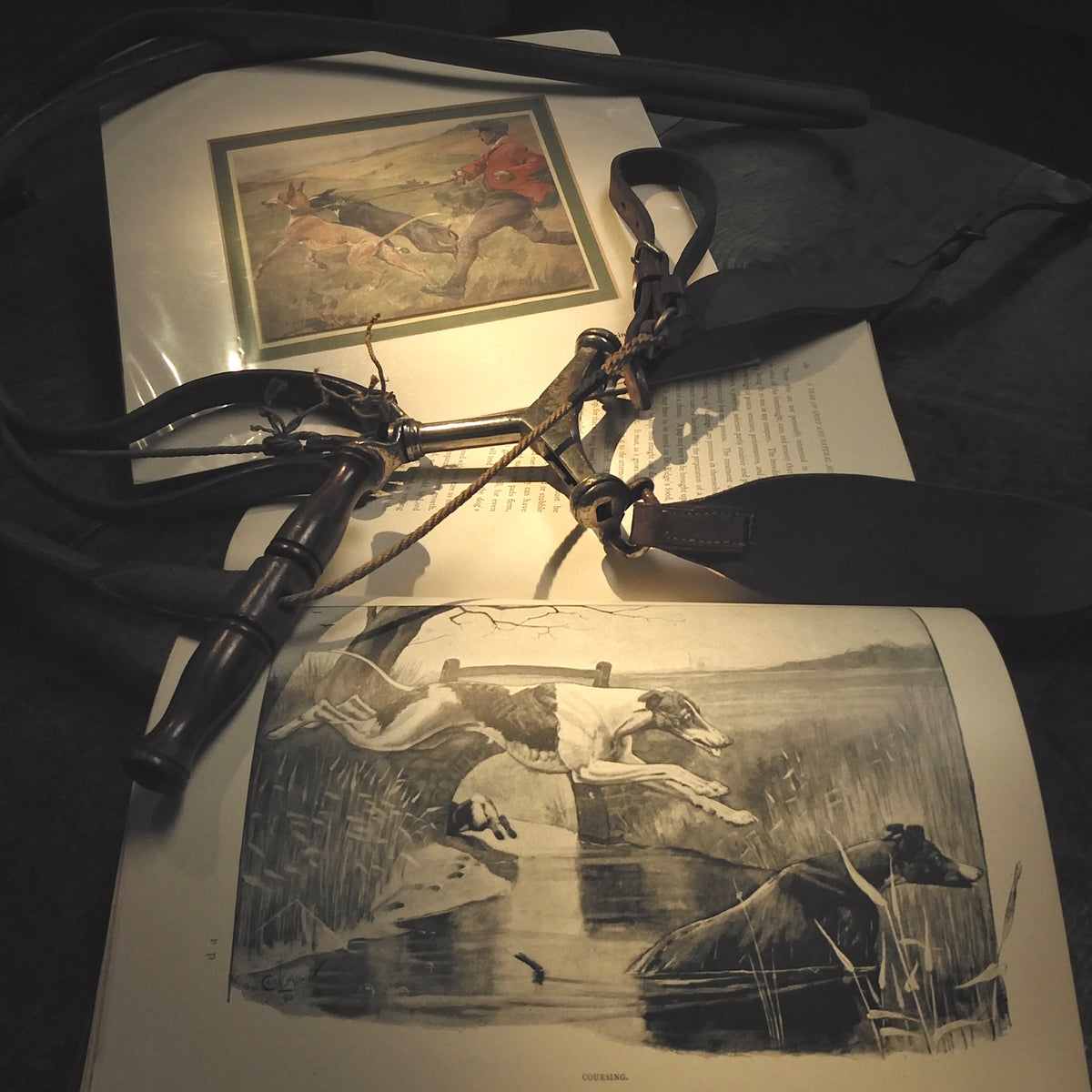 Coursing: The Slipper’ – Austyn Fine Strange & Remarkable Objects